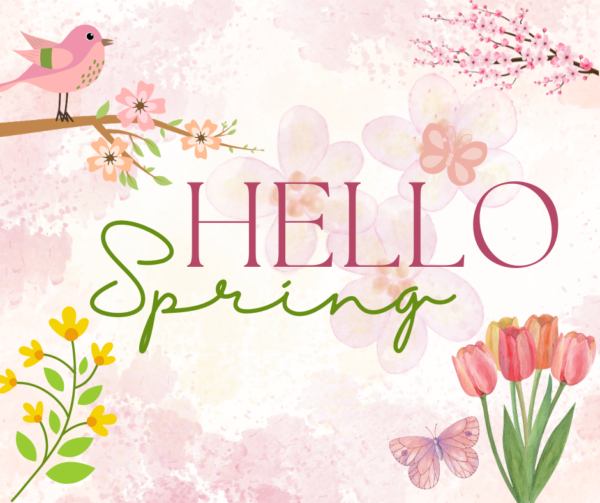 Hello Spring 2024 – Complete template – Extreme-Themes